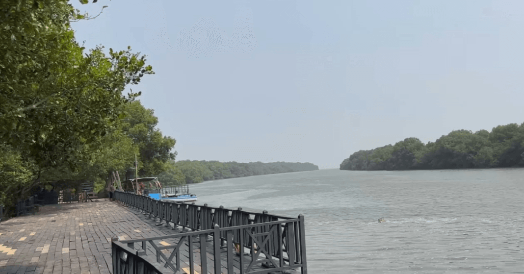 Coringa Wildlife Sanctuary Information with timings and ticket price