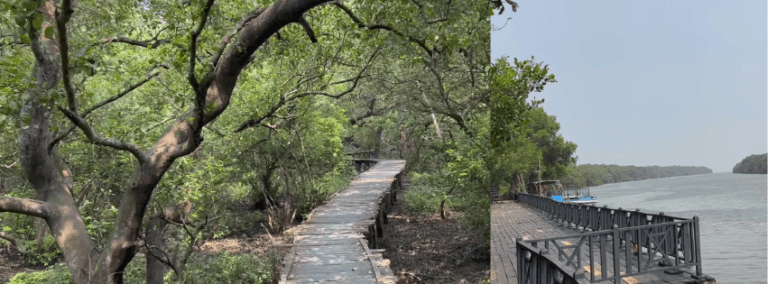 Coringa Wildlife Sanctuary Information with timings and ticket price