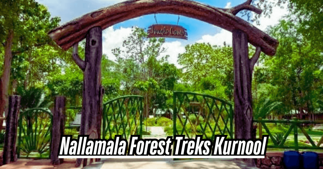 Nallamala Forest Treks Kurnool Timings, Safety Tips and Adventure